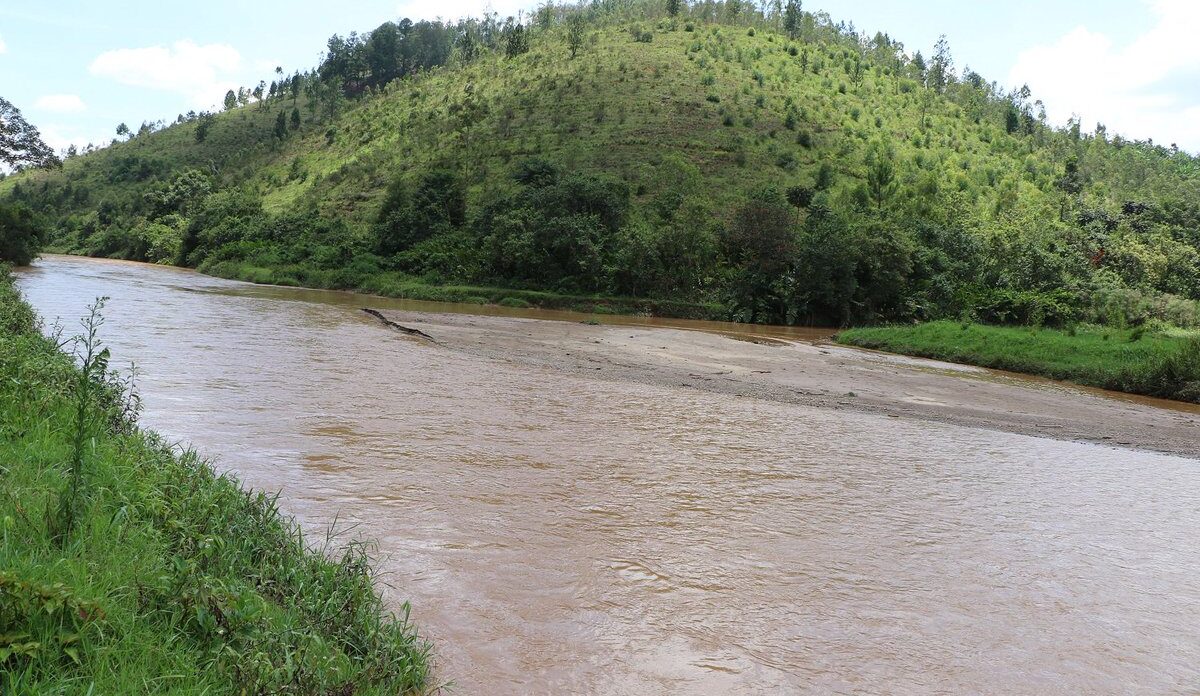 Nyabarongo River Rwanda | Bird-watching & Eco Safari Tours